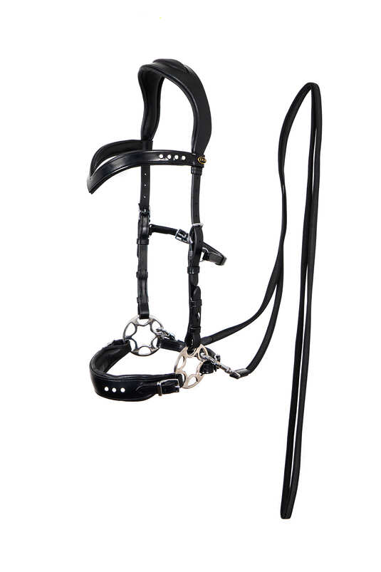 Bridle – AUTHLATIC AURA